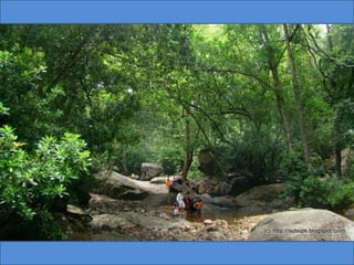 Ponmudi Hill-station Kerala, trekking, route map | PPTX