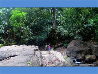 Ponmudi Hill-station Kerala, trekking, route map | PPTX