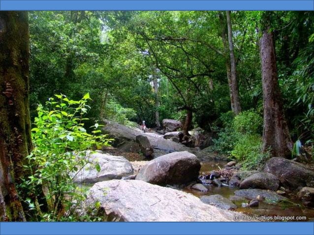 Ponmudi Hill-station Kerala, trekking, route map | PPTX
