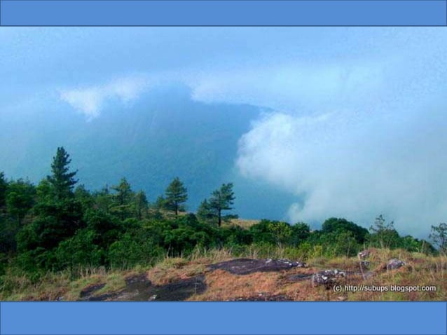 Ponmudi Hill-station Kerala, trekking, route map | PPTX
