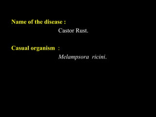 CASTOR RUST | PPTX