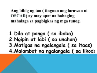 KOMUNIKASYON AT PANANALIKSIK SA WIKA AT KULTURANG PILIPINOponolohiya ...