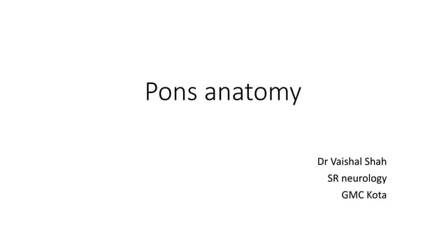 Anatomy of Pons | PPTX | Death, Injury, or Military Conflict ...