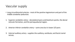 Anatomy of Pons | PPTX