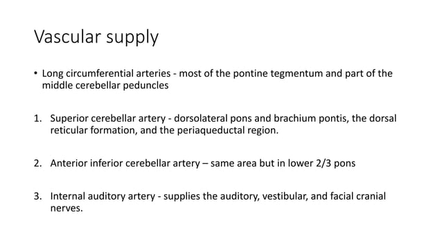 Anatomy of Pons | PPT