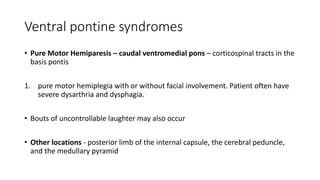 Anatomy of Pons | PPTX