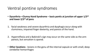 Anatomy of Pons | PPTX