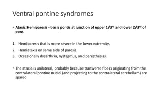 Anatomy of Pons | PPTX