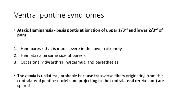 Anatomy of Pons | PPT