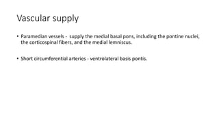 Anatomy of Pons | PPTX