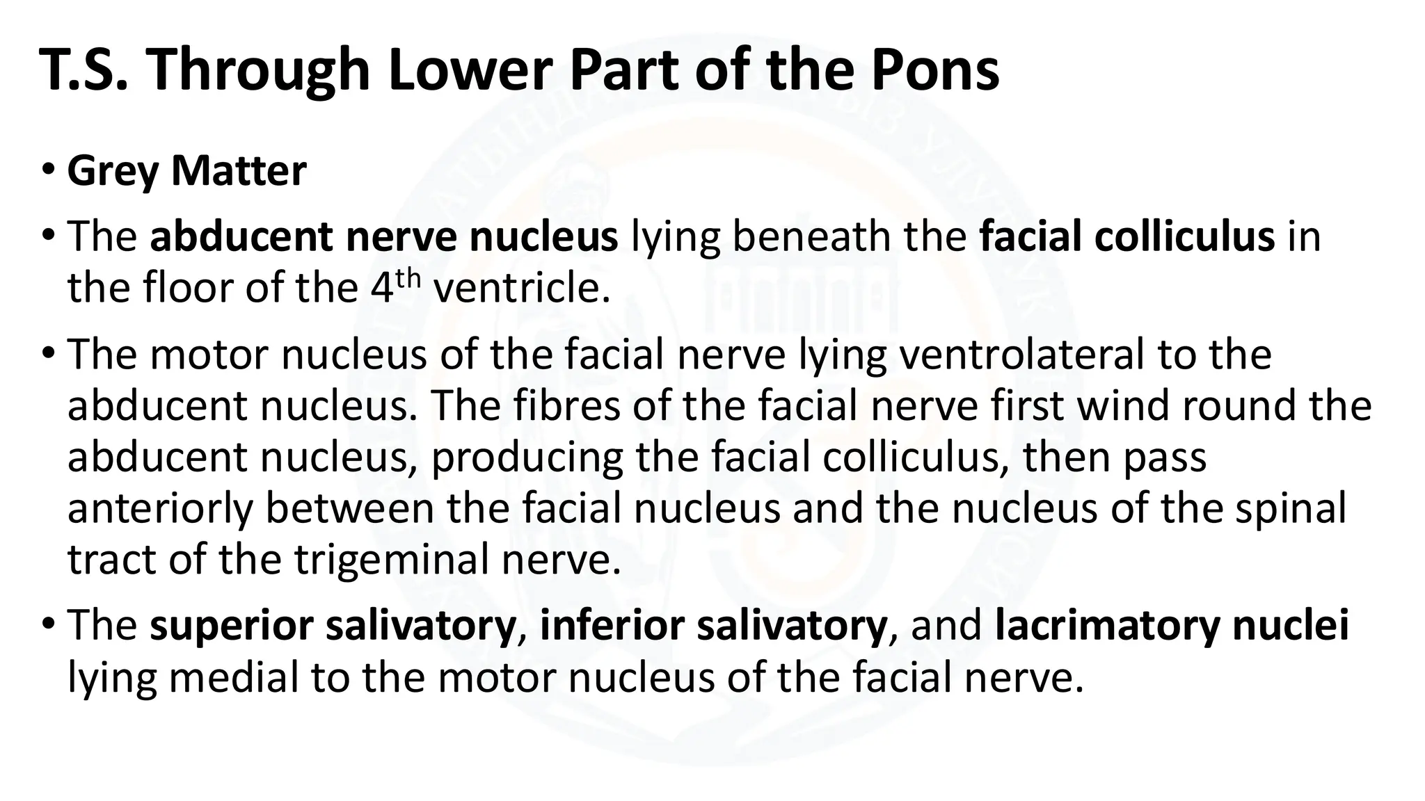 Pons.pdf internal and external features. | PDF