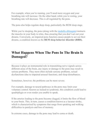 Pons | PDF | Brain and Nervous System Disorders | Diseases and Conditions