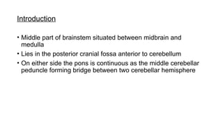Pons introduction external features internal features arterial supply ...