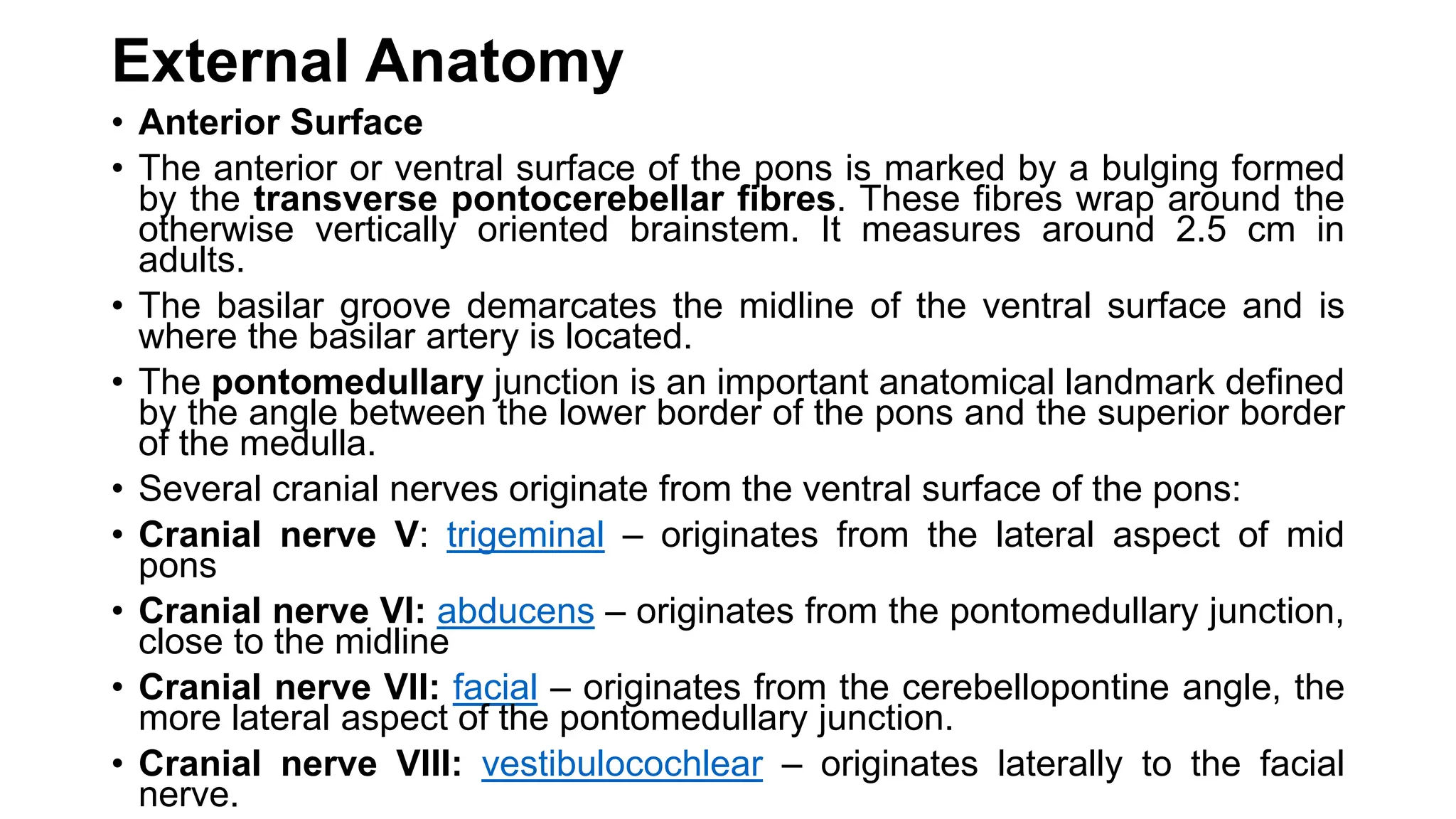 Pons and medulla its anatomy and properties.pptx