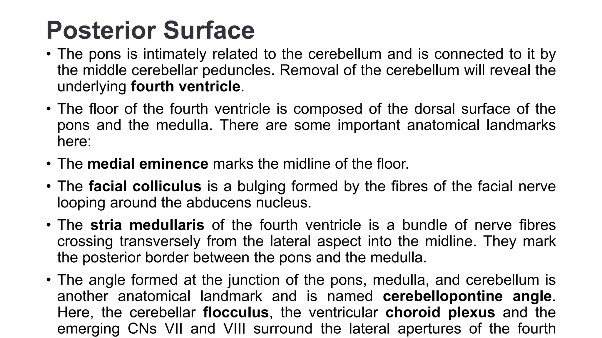 Pons and medulla its anatomy and properties.pptx