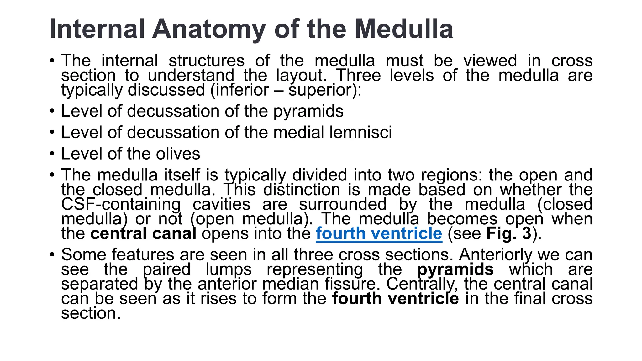 Pons and medulla its anatomy and properties.pptx