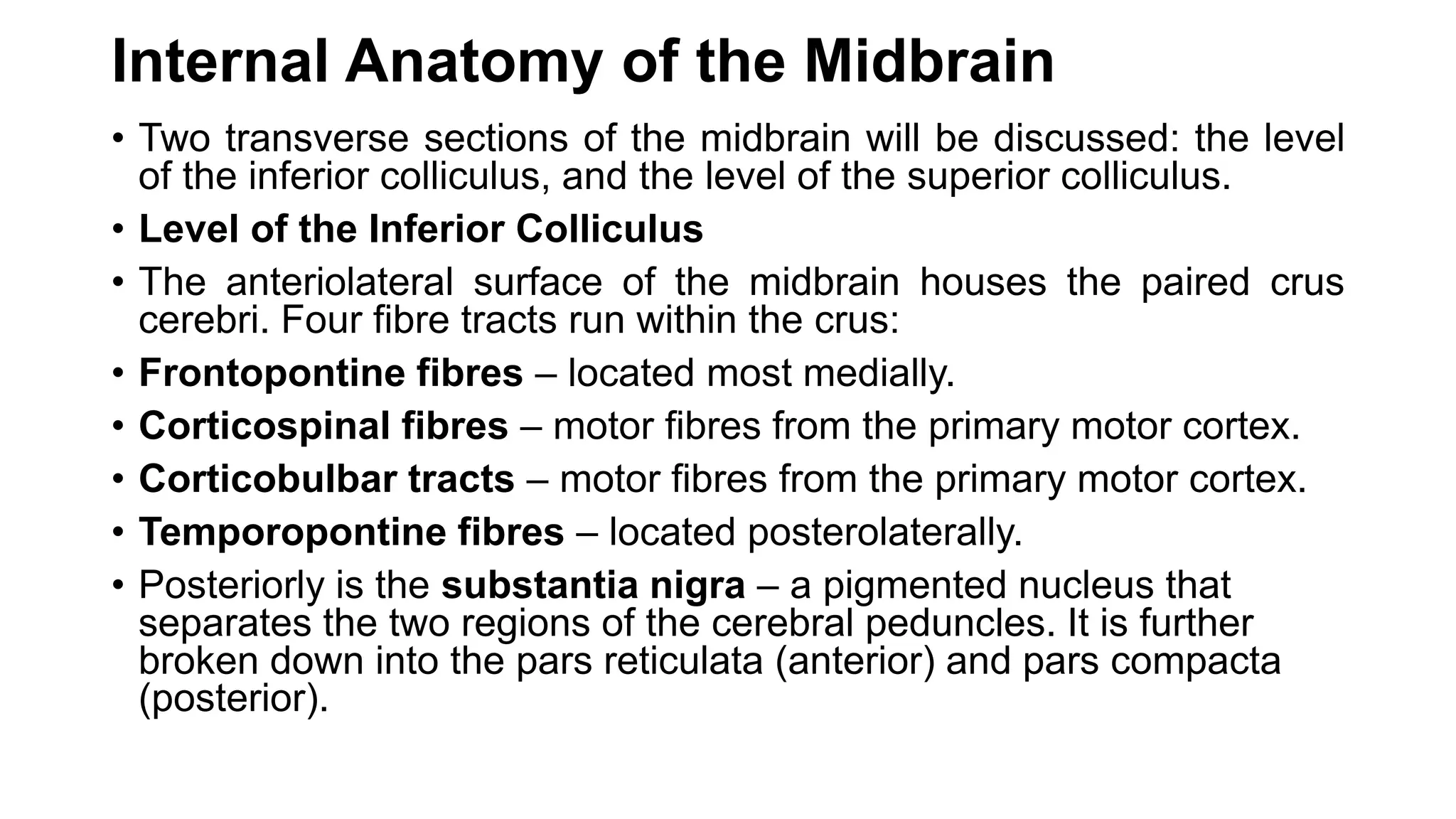 Pons and medulla its anatomy and properties.pptx