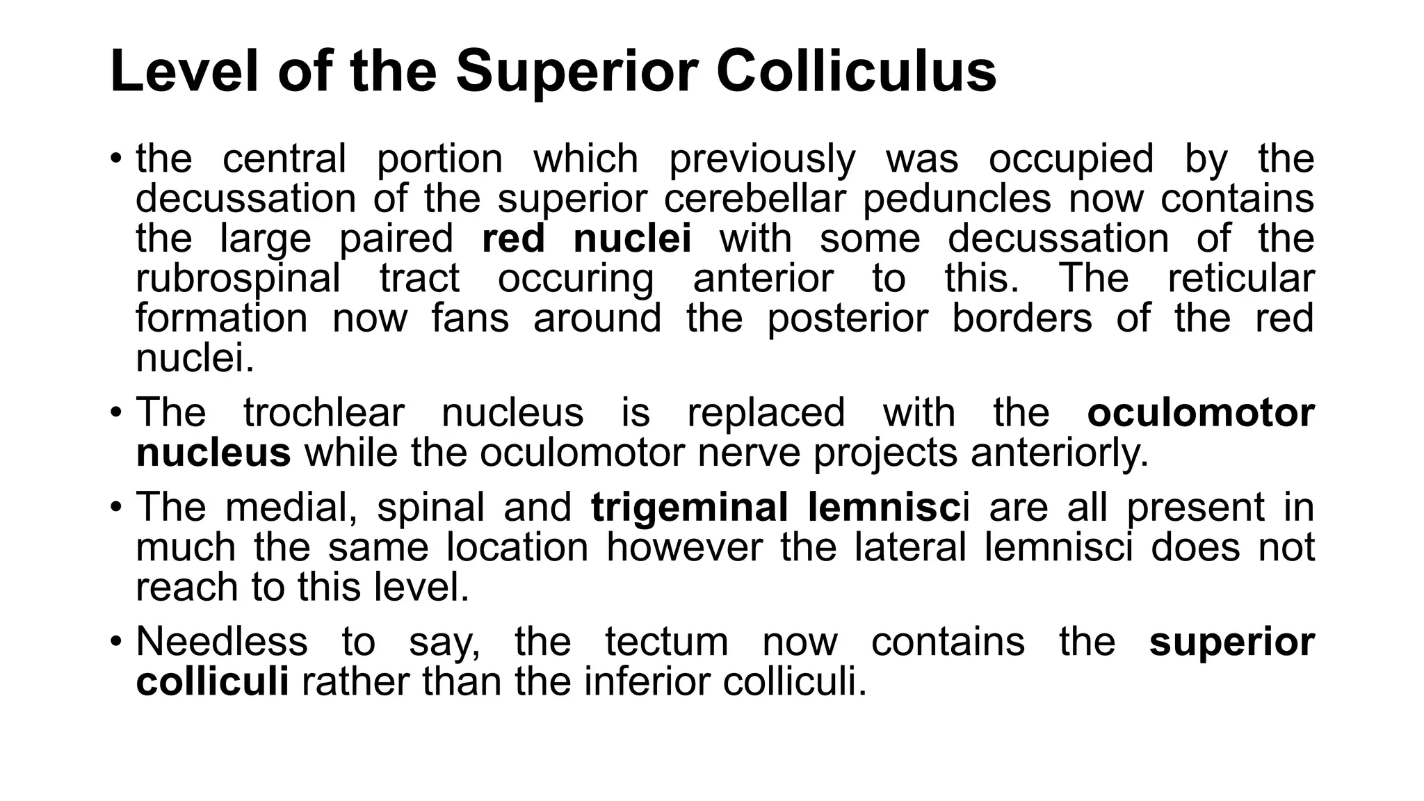 Pons and medulla its anatomy and properties.pptx