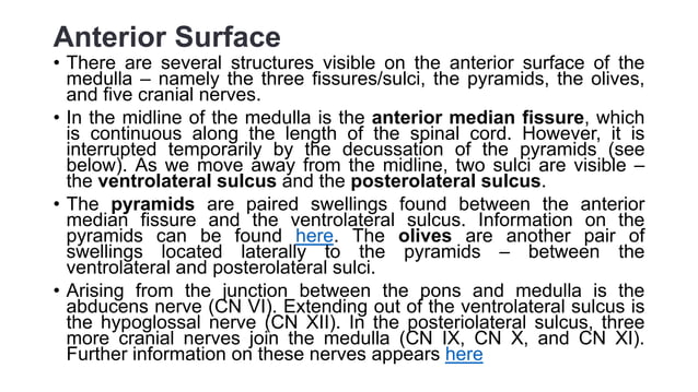 Pons and medulla its anatomy and properties.pptx
