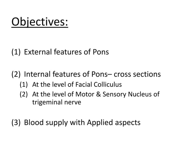 Pons Anatomy | PPTX | Death, Injury, or Military Conflict | Sensitive ...
