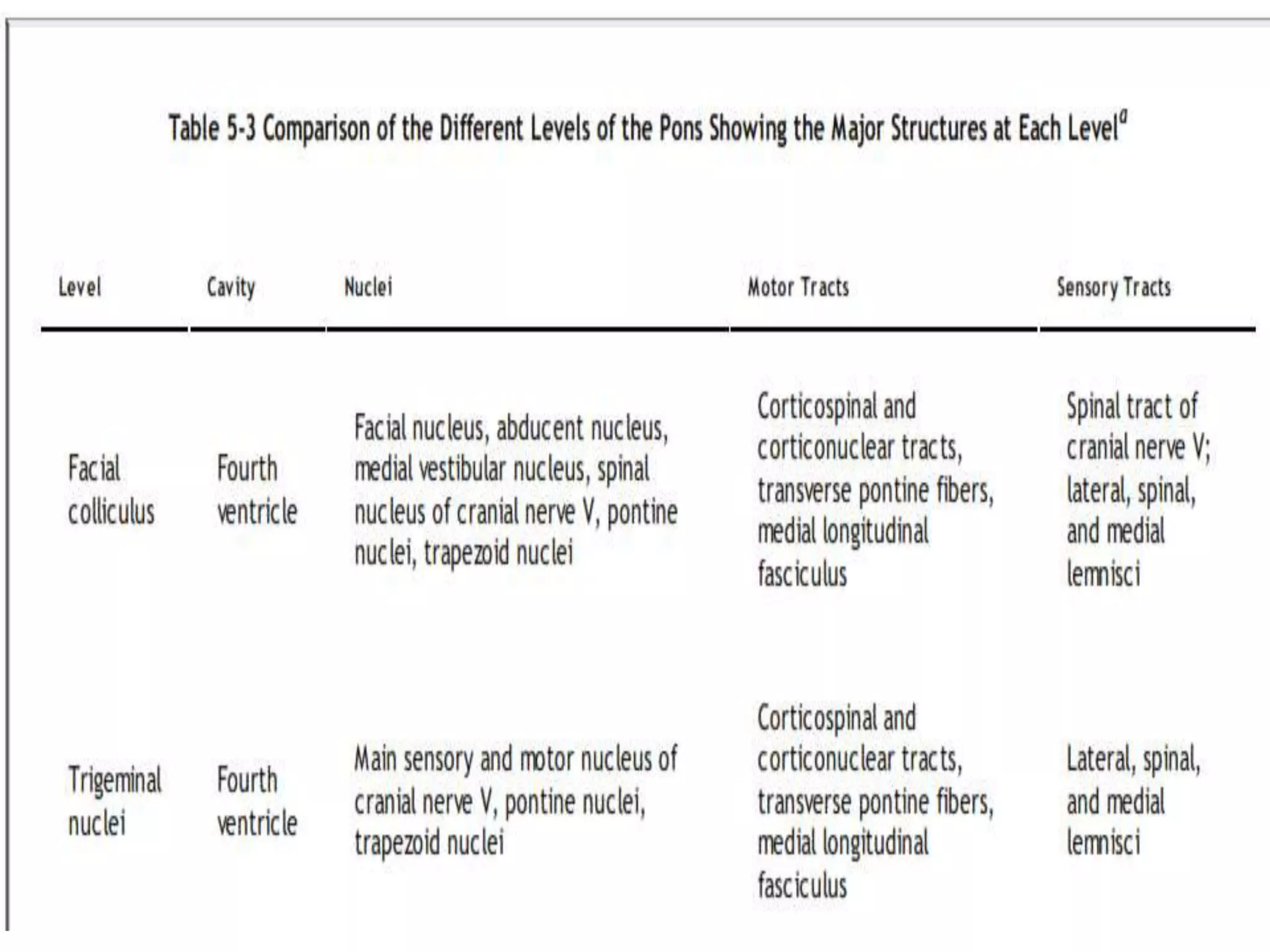 Pons anatomy and syndromes | PPTX