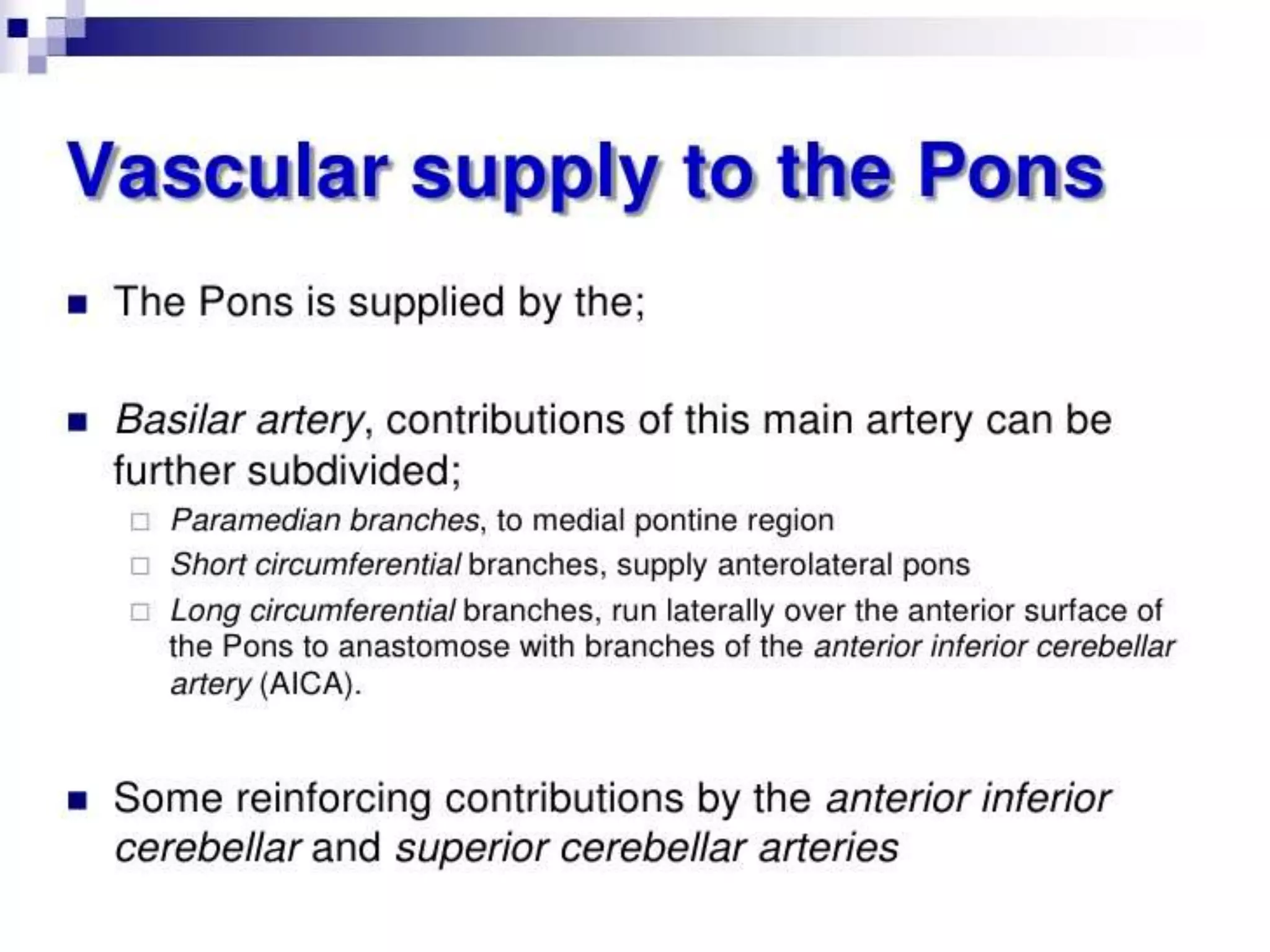 Pons anatomy and syndromes | PPTX