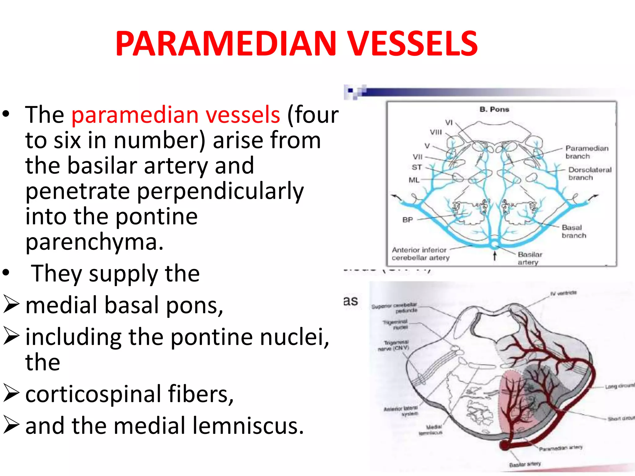 Pons anatomy and syndromes | PPTX