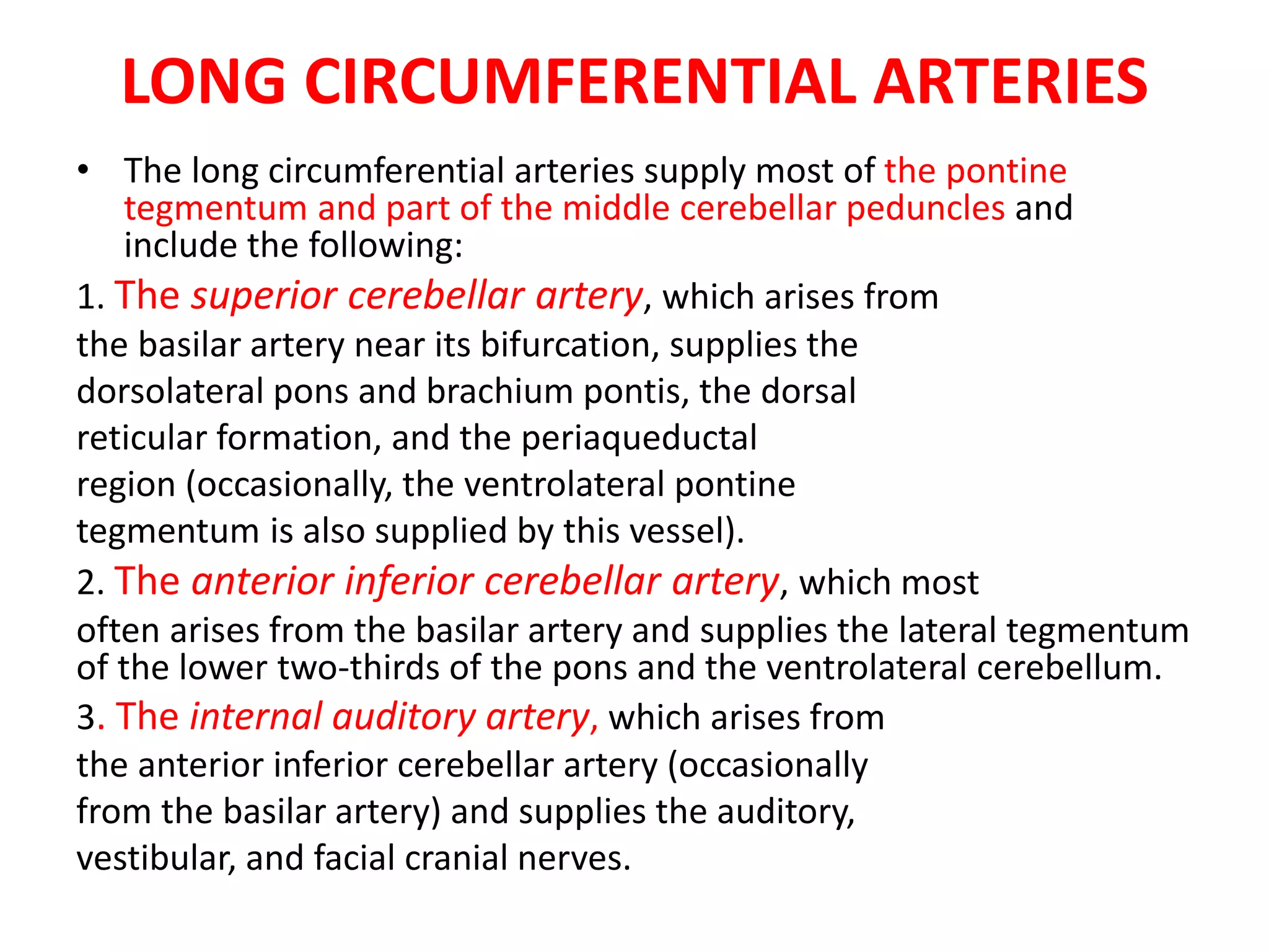 Pons anatomy and syndromes | PPTX