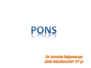 Pons anatomy and syndromes | PPTX