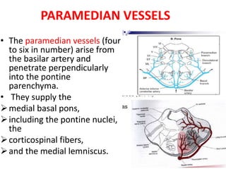 Pons anatomy and syndromes | PPTX