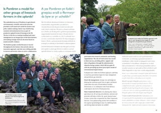 Pontbren report | PDF