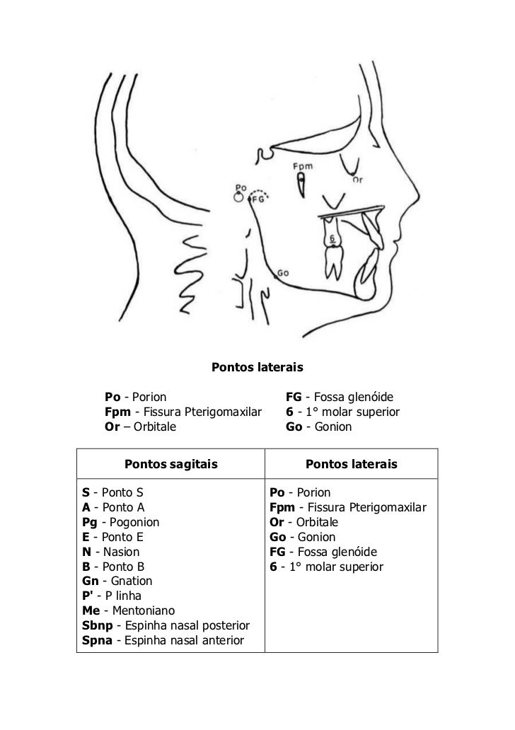Pontos cefalometricos