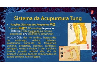 董氏奇穴 PONTOS DA ACUPUNTURA DO MESTRE TUNG.pdf