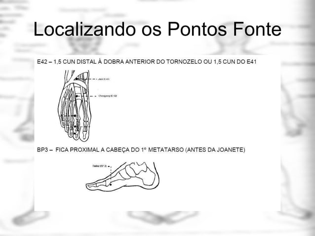 Pontos Fonte E Lo | PPT | Download Gratuito