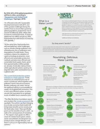 Pontus Protein Ltd: The Next Level of the Plant Based Food Revolution ...