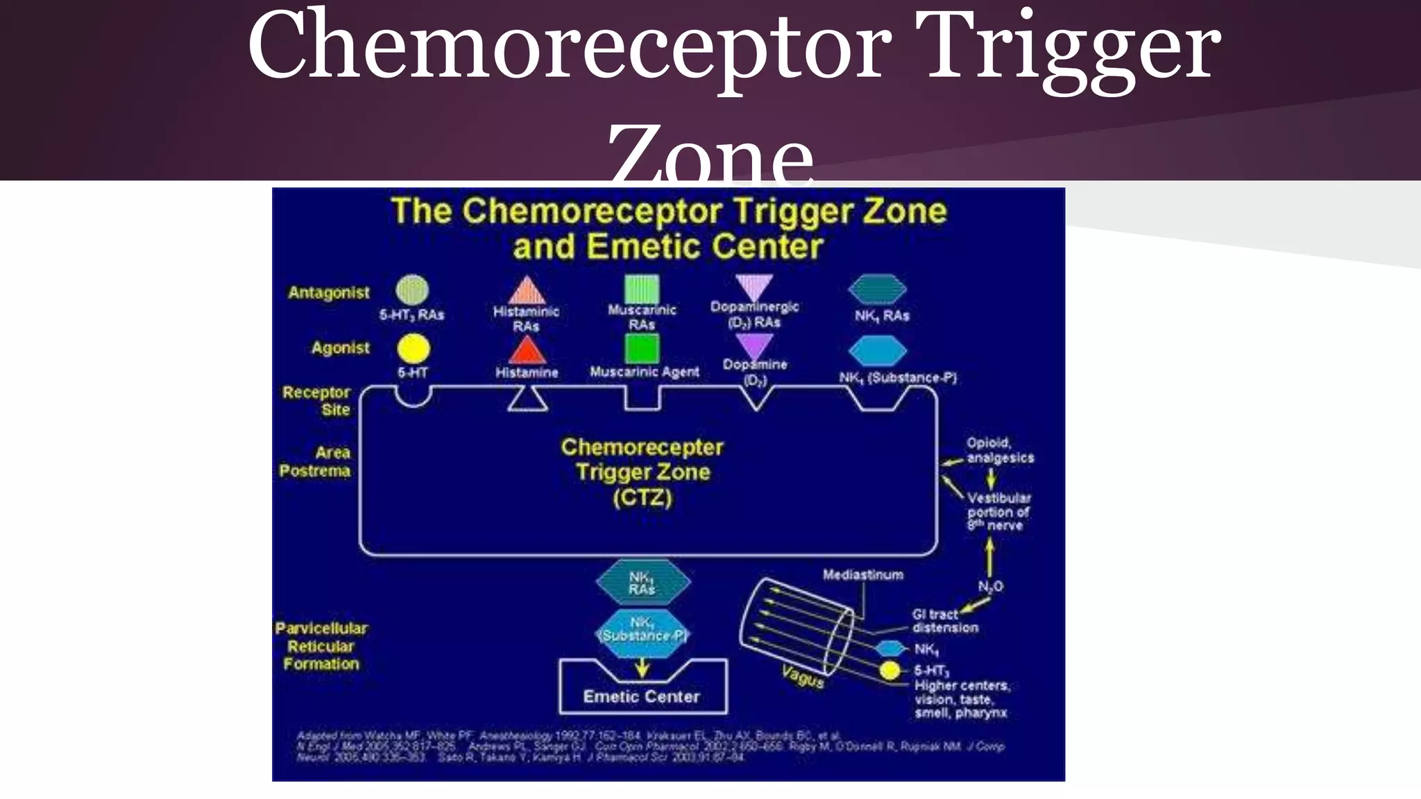 Exploration of Postoperative Nausea and Vomiting | PPTX