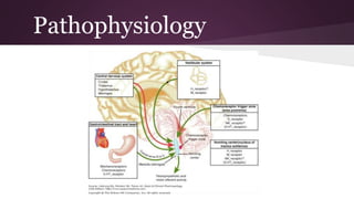 Exploration of Postoperative Nausea and Vomiting | PPTX