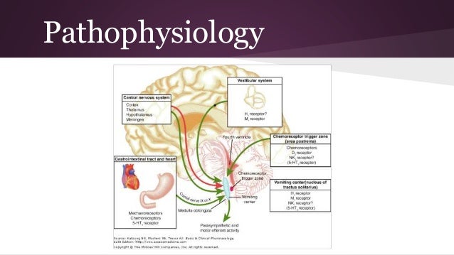 Exploration of Postoperative Nausea and Vomiting