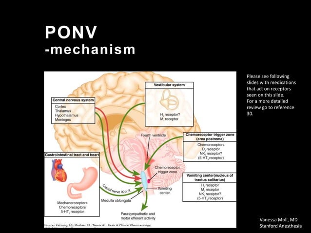 PONV_VMoll1_2012.pptx