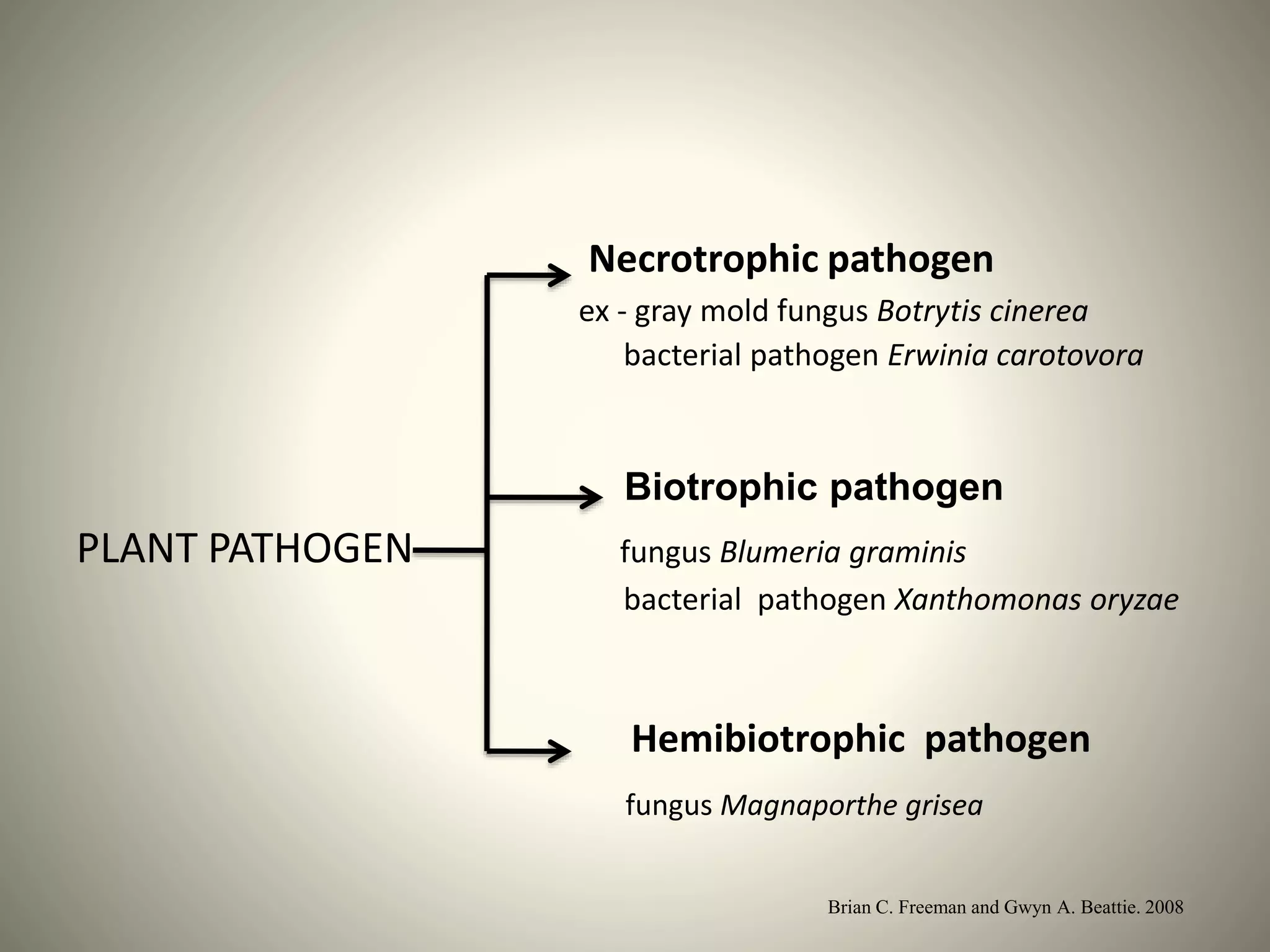 Plant Pathogen Interaction | PPTX