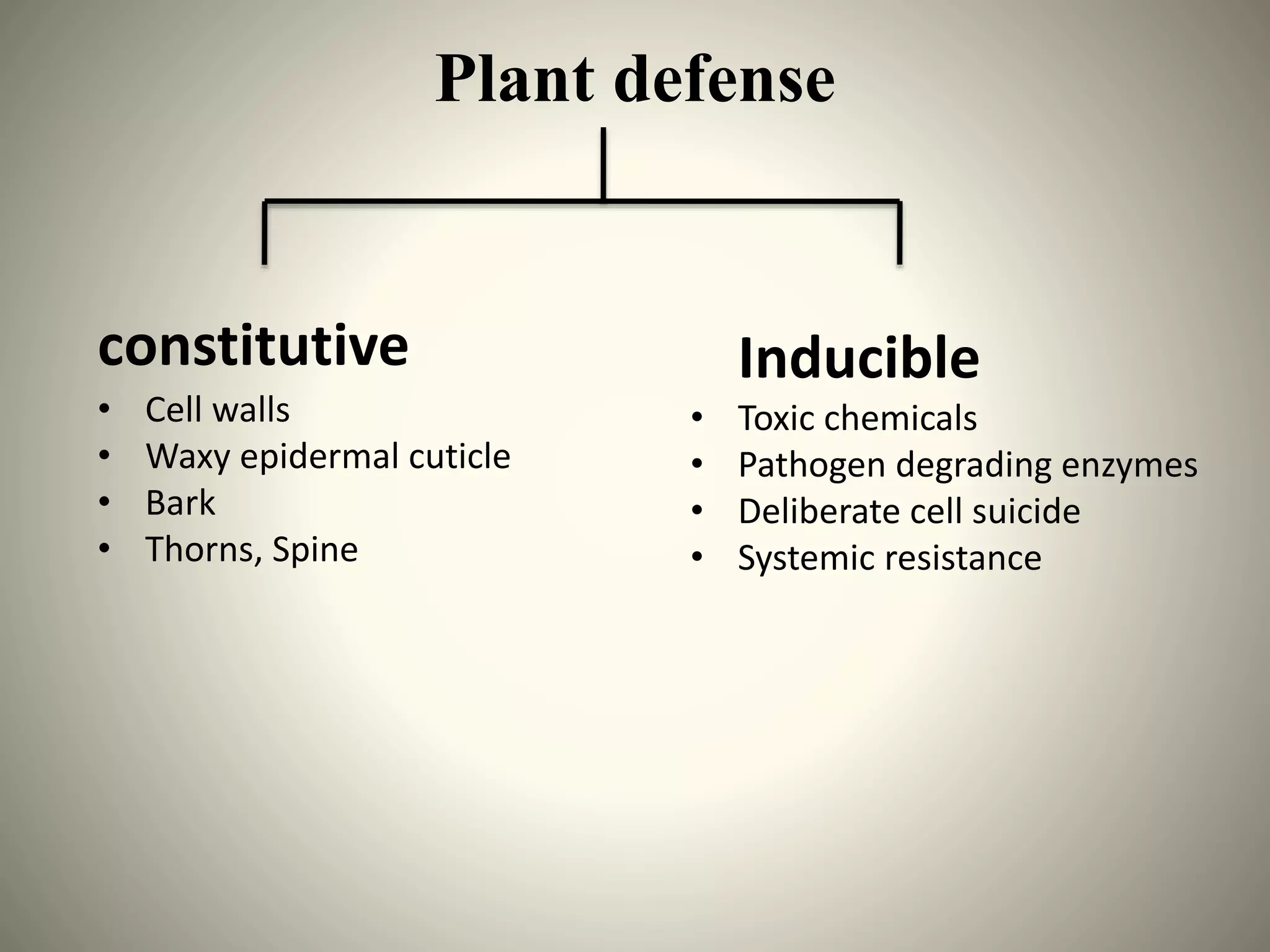 Plant Pathogen Interaction | PPTX