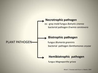 Plant Pathogen Interaction | PPTX