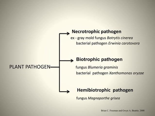 Plant Pathogen Interaction | PPTX