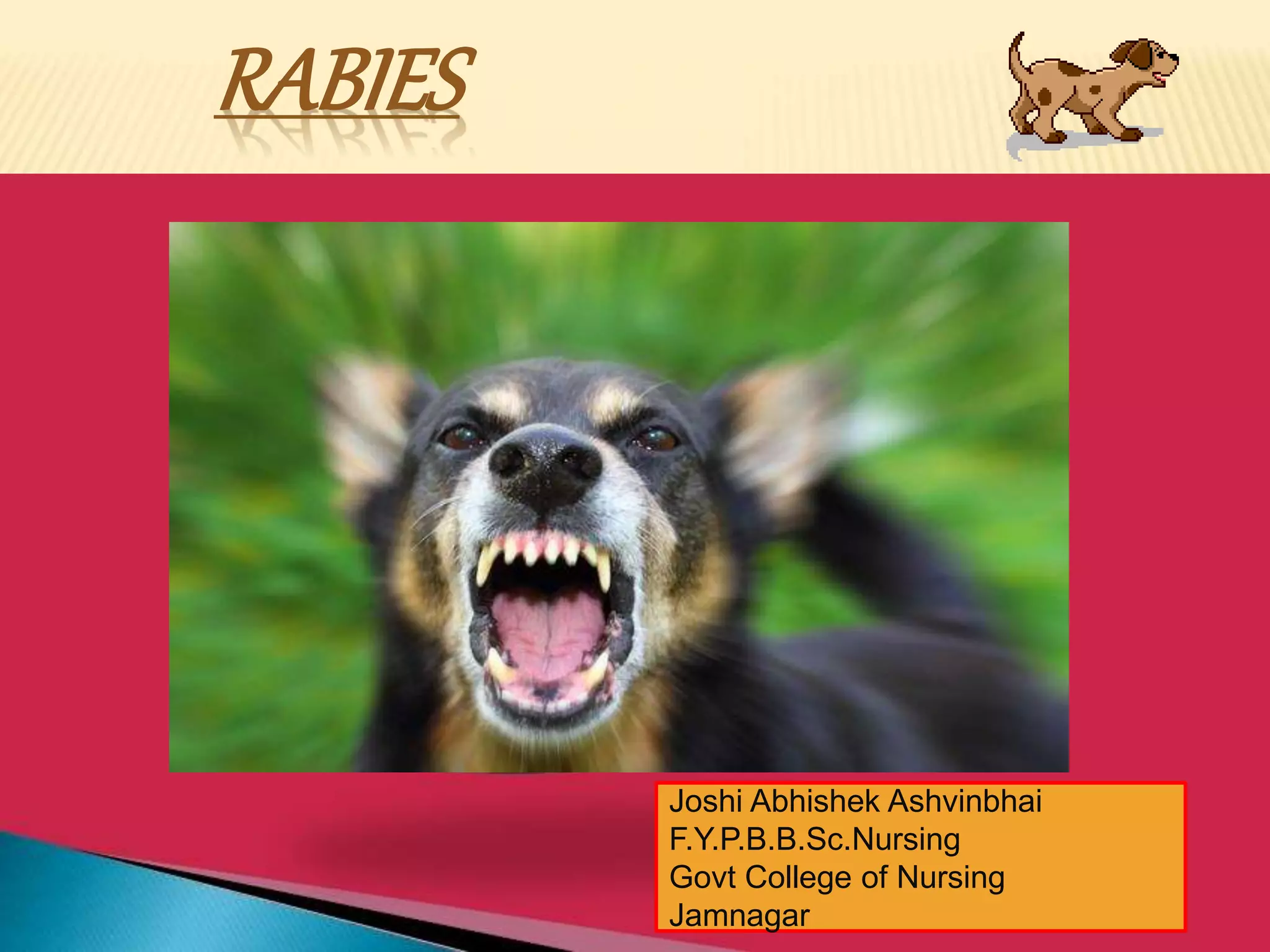 Rabies | PPTX
