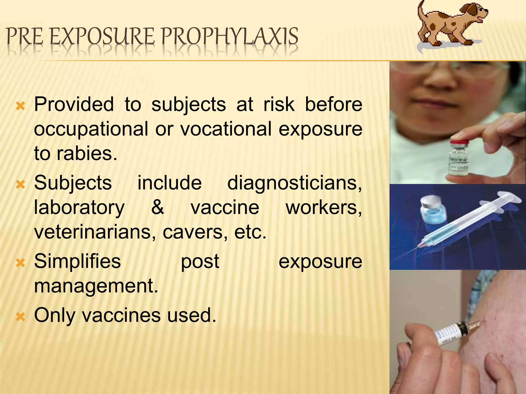 Rabies | PPTX