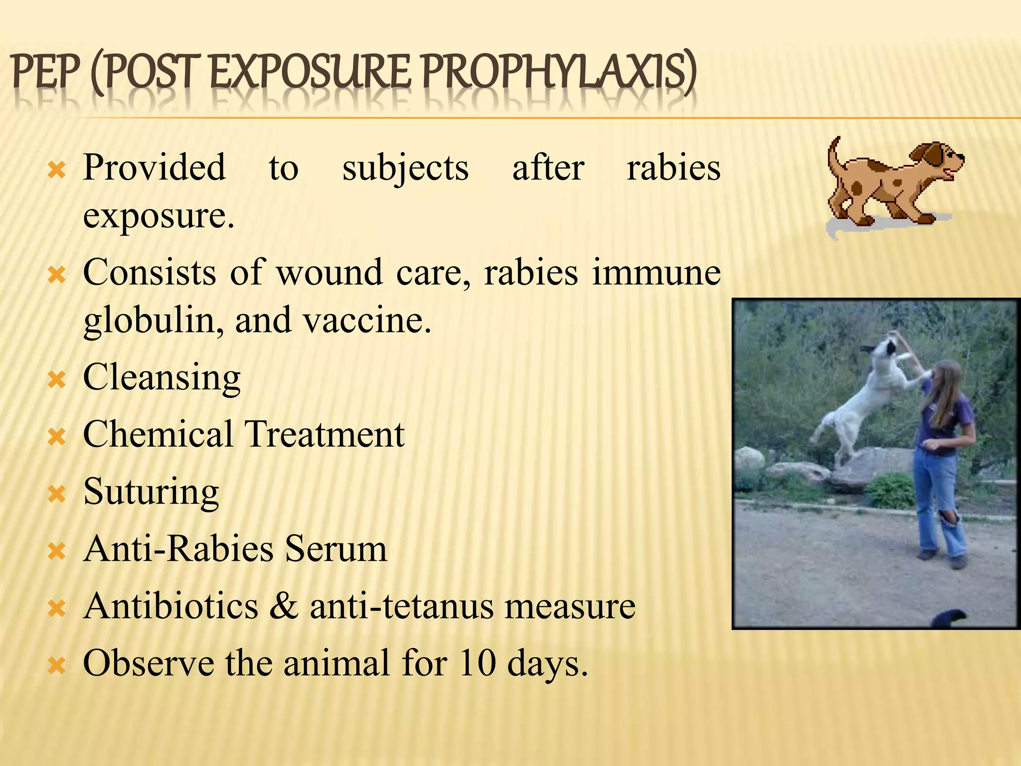 Rabies | PPTX