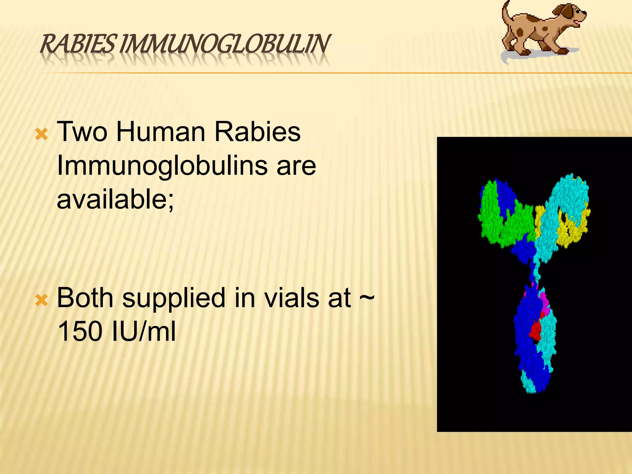 Rabies | PPTX