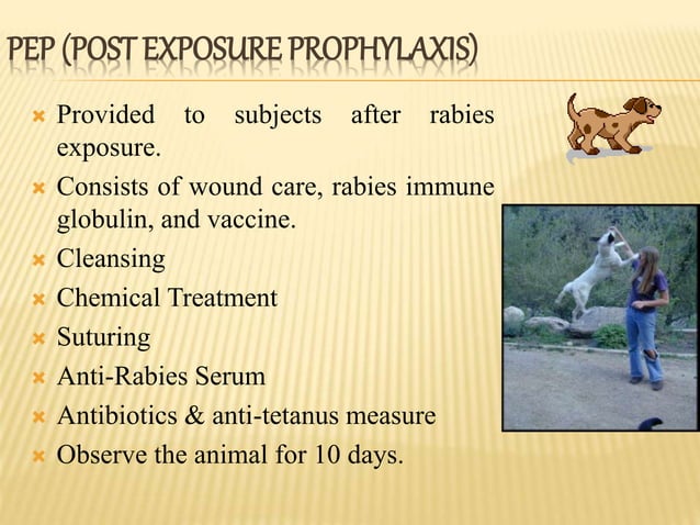 Rabies | PPTX