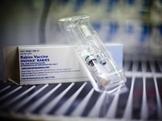 Rabies | PPTX