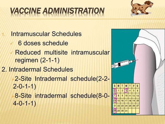 Rabies | PPTX